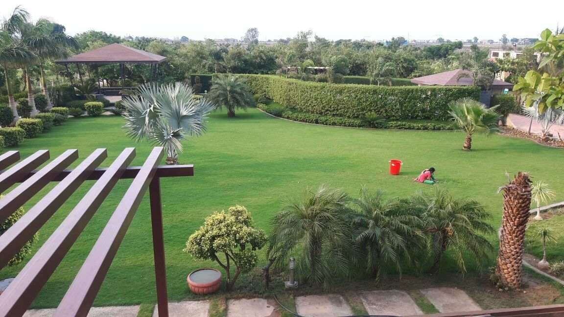 Unique Garden Solutions – Garden Services in Udaipur